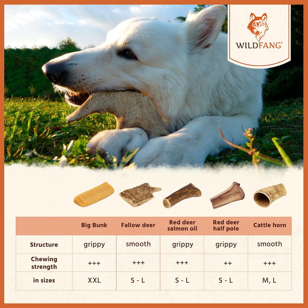 Wildfang® - from nature to your home – Wildfangpet.com